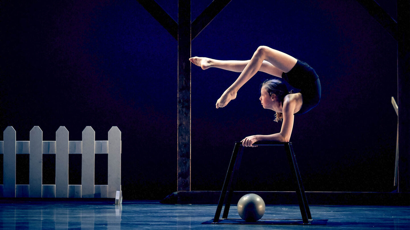 Acro Intensive Workshops - Poise Dance Academy